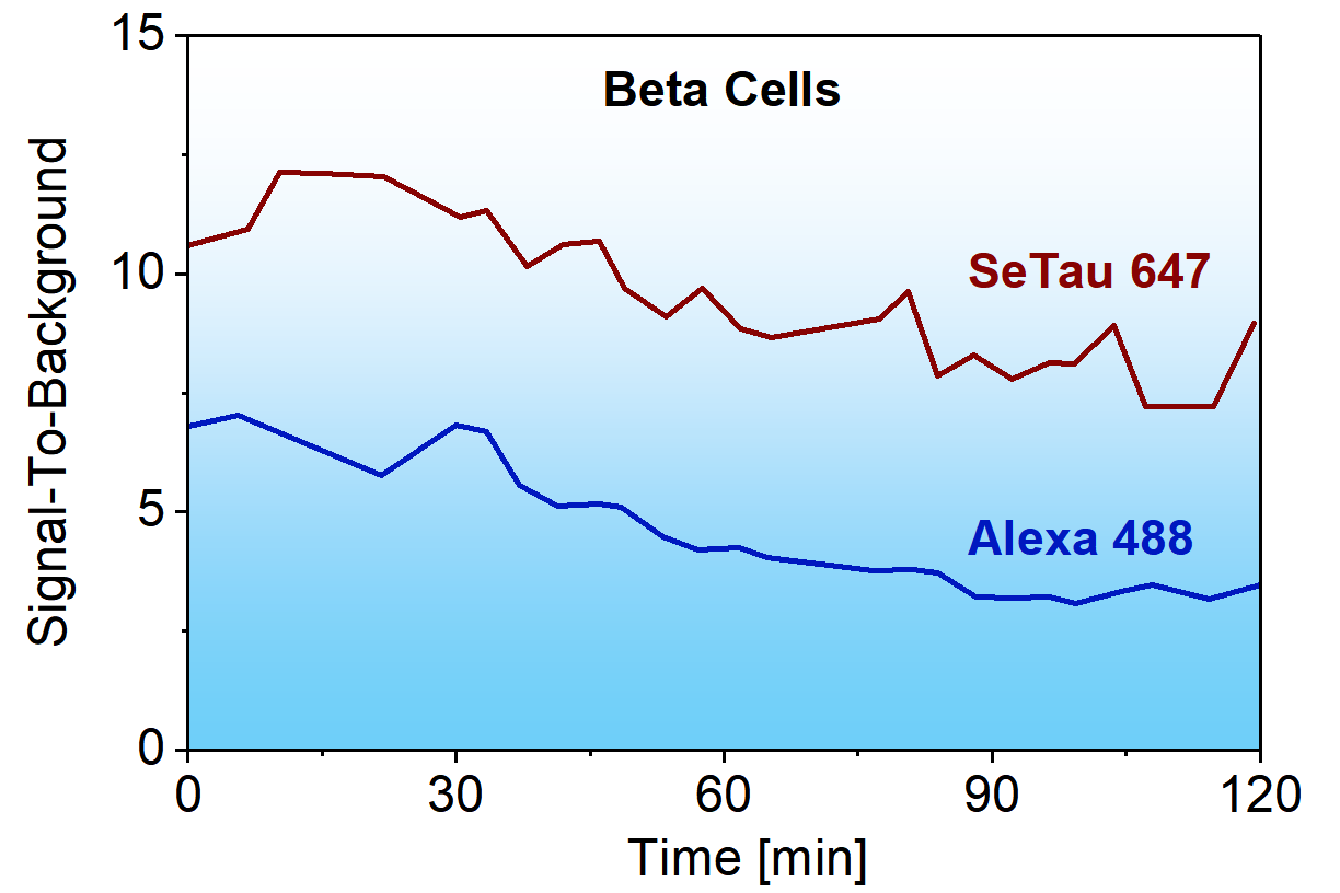 Dyes, Probes and Labels for Fluorescence Microscopy